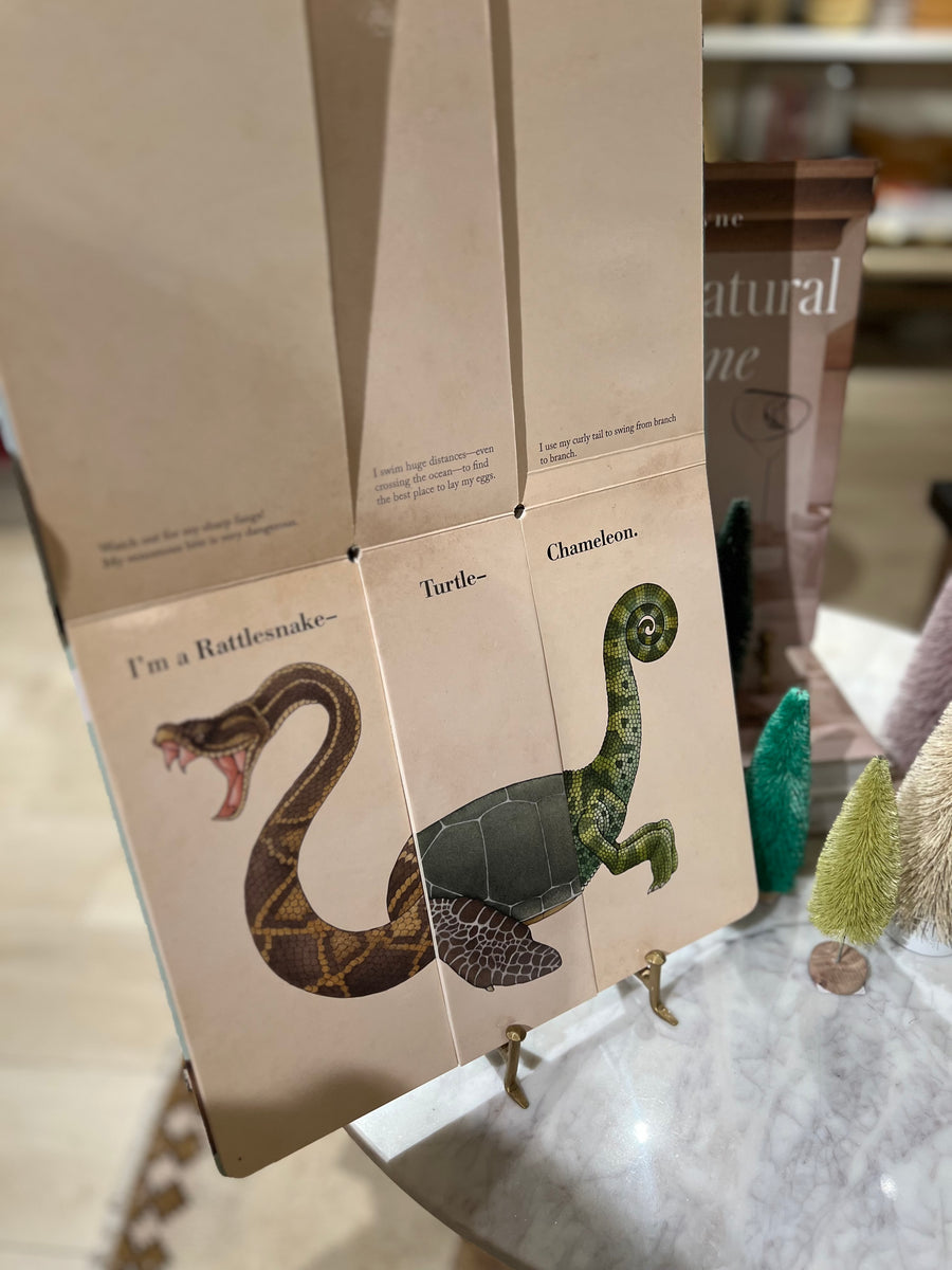 Flip-A-Gator Book – Modern Cottage Tulsa, OK