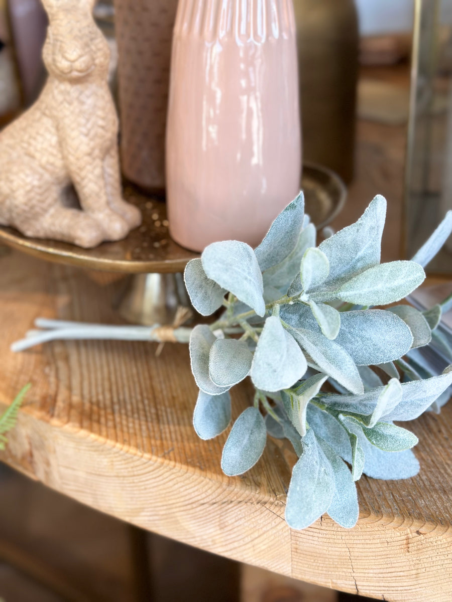 Lambs Ear Bundle – Modern Cottage Tulsa, OK