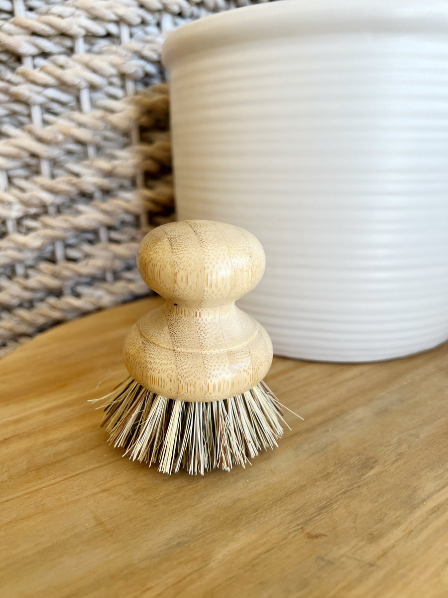 Casa Agave Pot Scrubber Brush – Modern Cottage Tulsa, OK